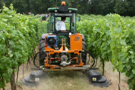 tournesol-pellenc-interceps - FVBD